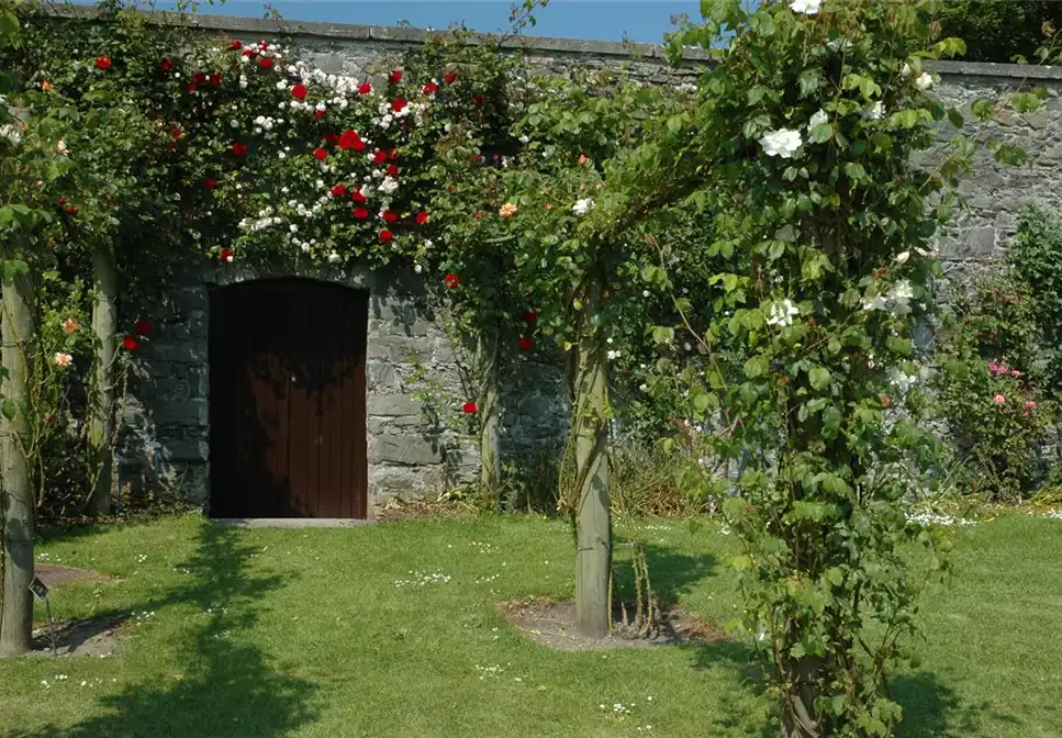 URSPRUNG & MYTHOS DER ROSE - Florawelt Dorsten